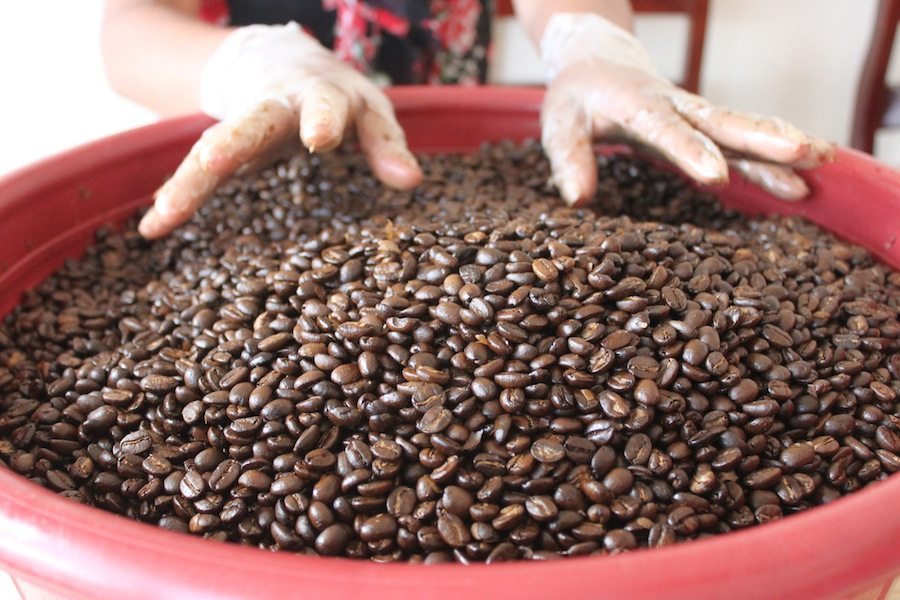 The Explorer Embodied: Noushin Ketabi of Vega Coffee - Darling Magazine