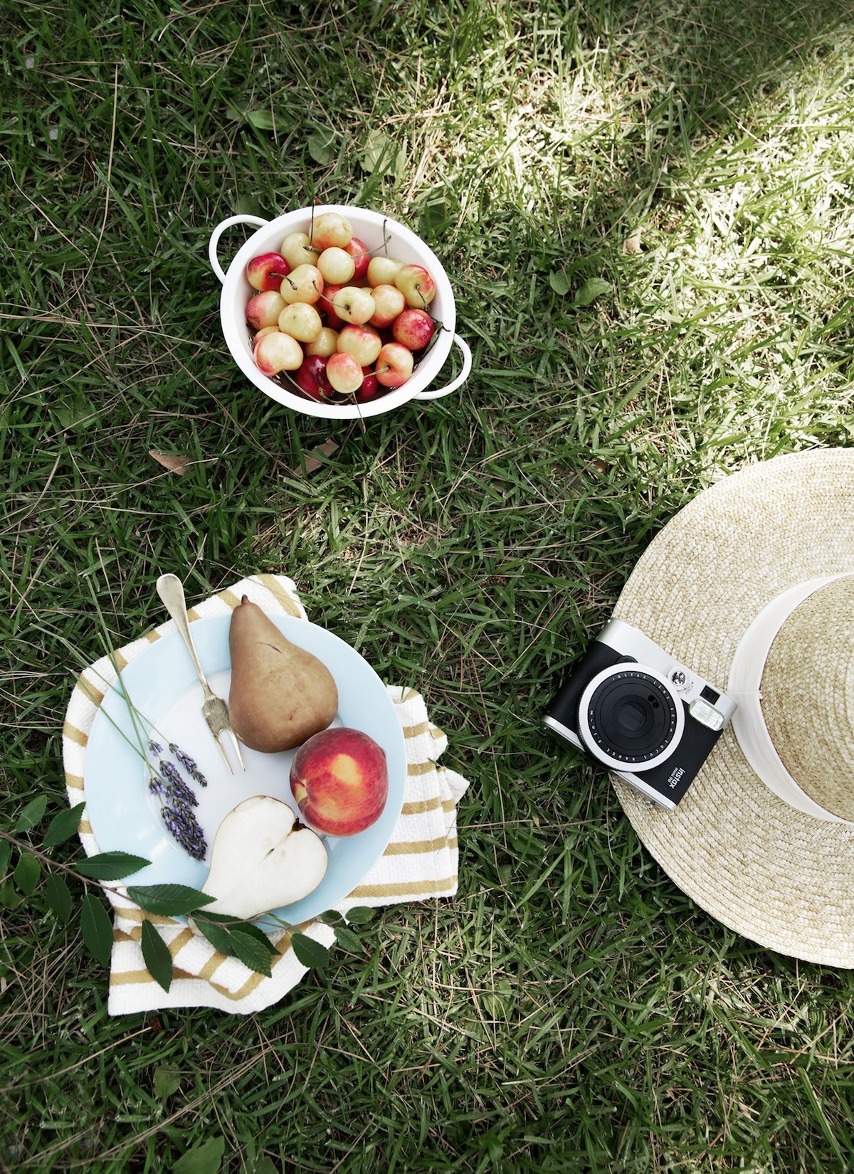 Your Top Food Questions Answered: Part I - Darling Magazine