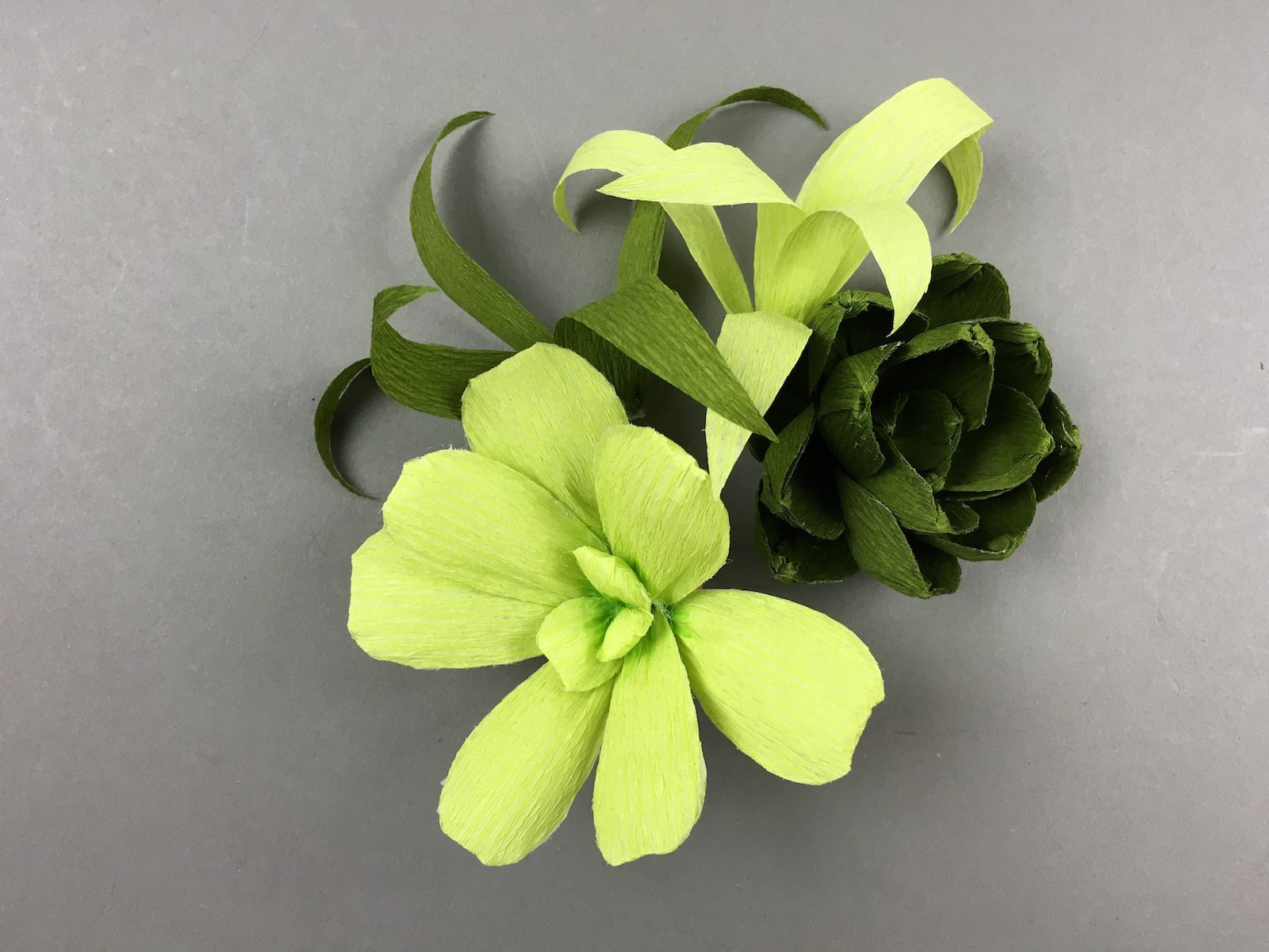DIY Paper Succulents for Your Desk - Darling Magazine