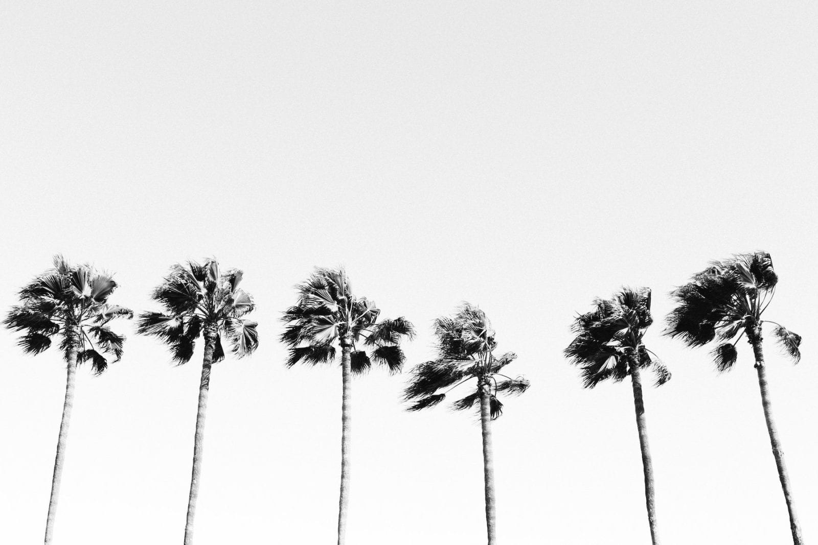 Favorite Female-Led TV Series to Watch Right Now - Darling Magazine