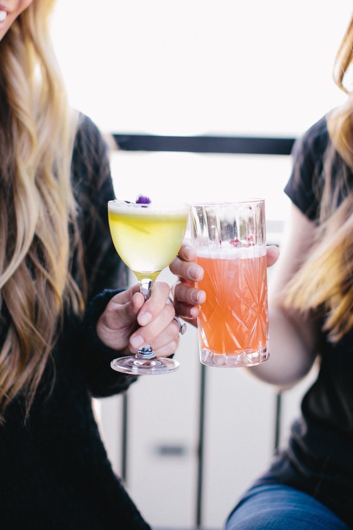 How to Best Pair Cocktails with a Dinner Menu - Darling Magazine