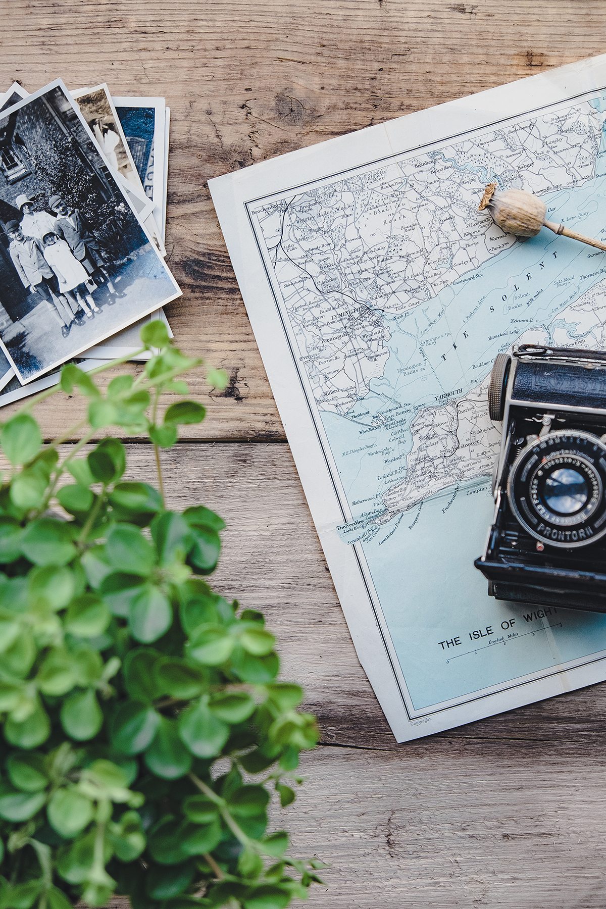 Ways to Love the World Right Where You Are - Darling Magazine