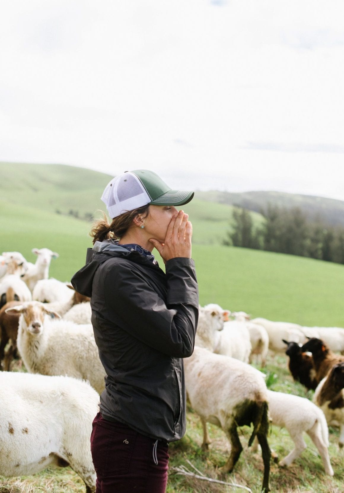 A Day in the Life of a Modern Day Shepherd - Darling Magazine