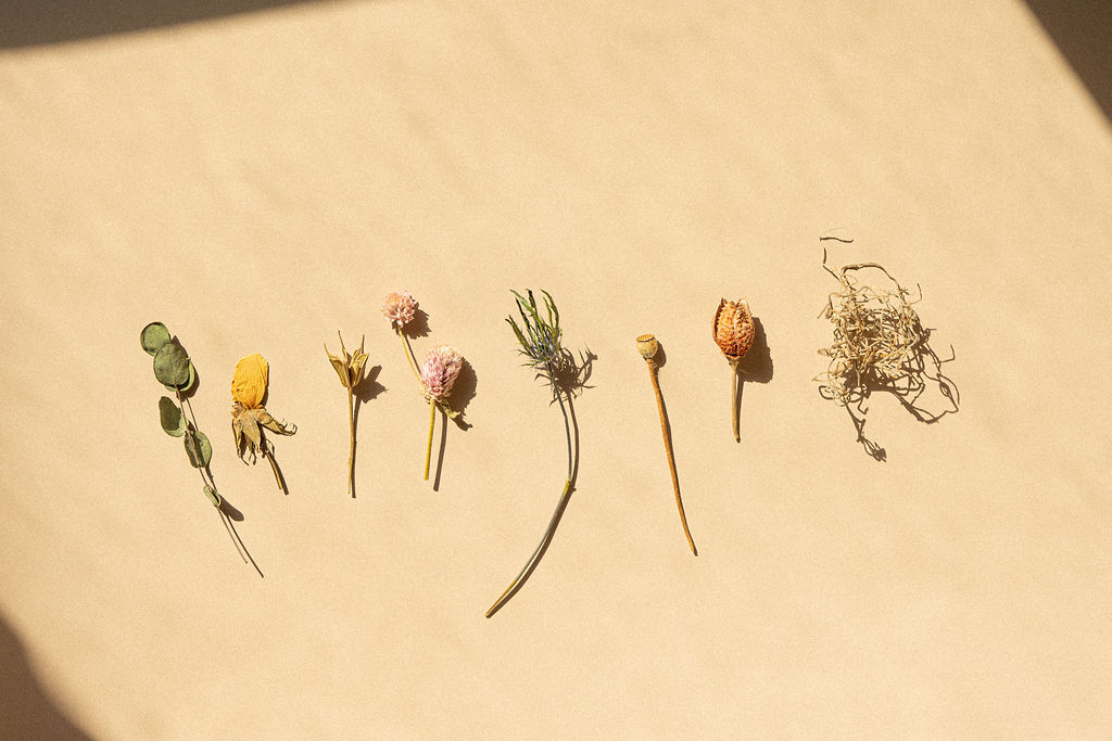 How to Make Still Life Art and Become More Present - Darling Magazine