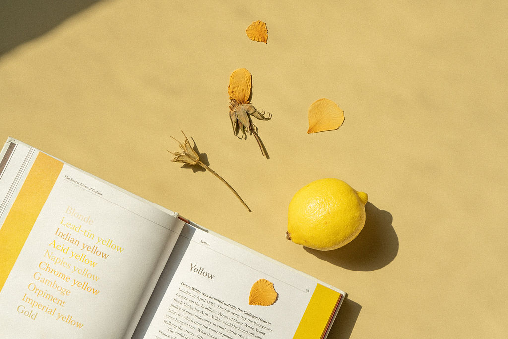 How to Make Still Life Art and Become More Present - Darling Magazine