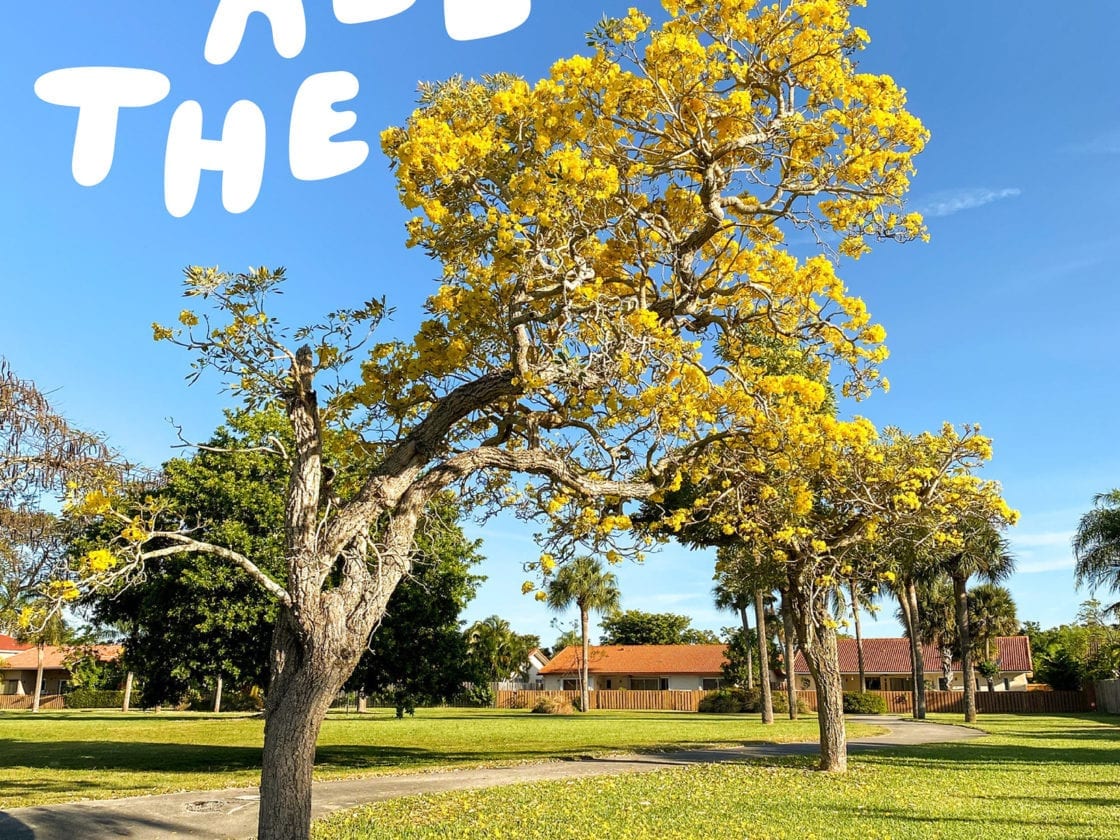 How to Build a Tiled Desk for Your Home Office - Darling Magazine