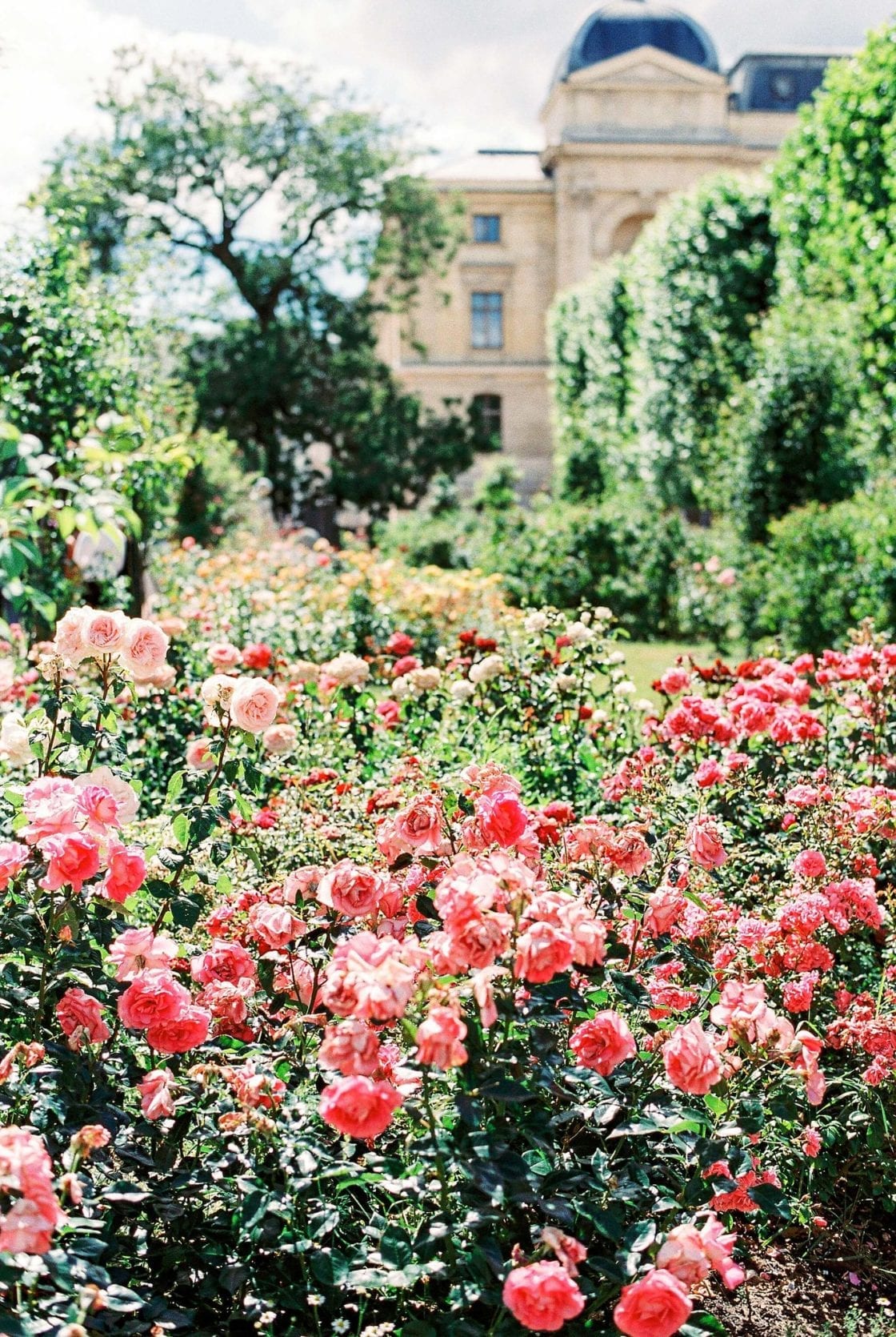 My Journey to Wholeness After My Scarring Alopecia Diagnosis - Darling ...