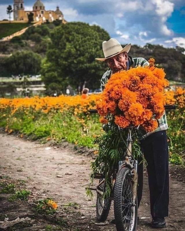 3 Important Lessons to Learn From Mexican Culture - Darling Magazine