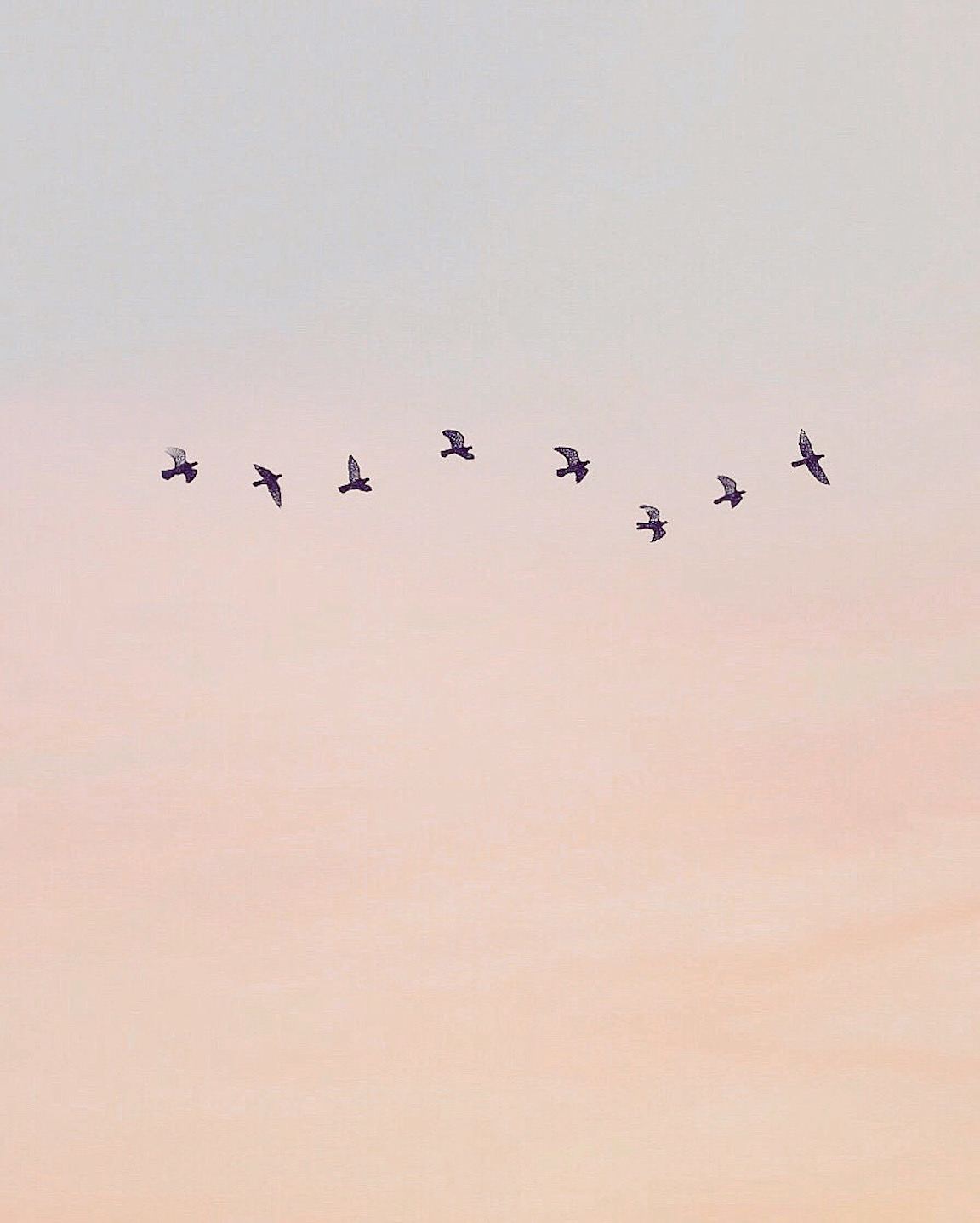 Darling Letters: Deja Que Entre La Luz - Darling Magazine